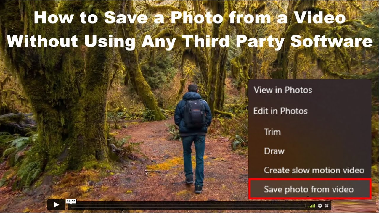 How to Save a Photo from a Video on Windows 11 for Free - YouTube