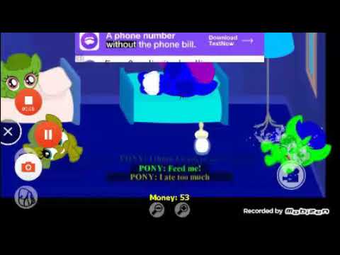 Home Pony Part 2 - YouTube