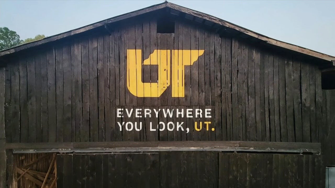 UT system begins mural in Polk County - YouTube