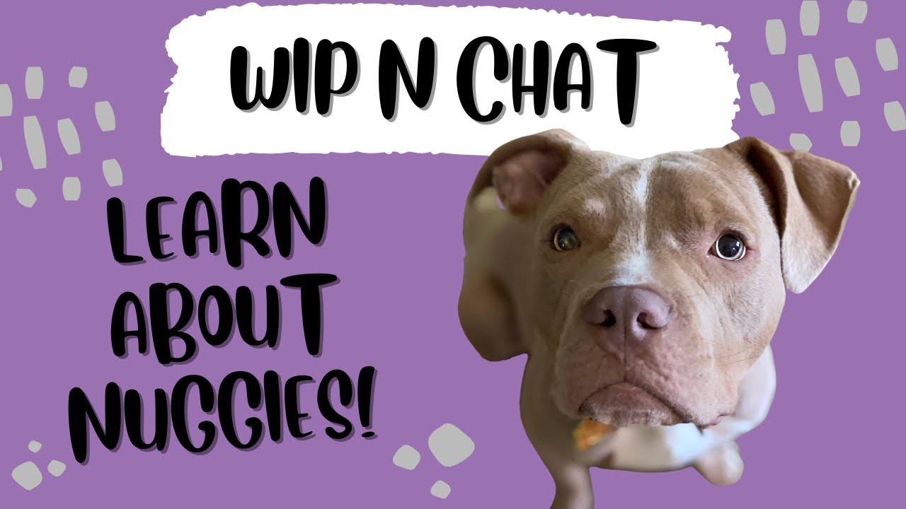 WIP and Chat | Learn how Nuggies became part of our family and what ...