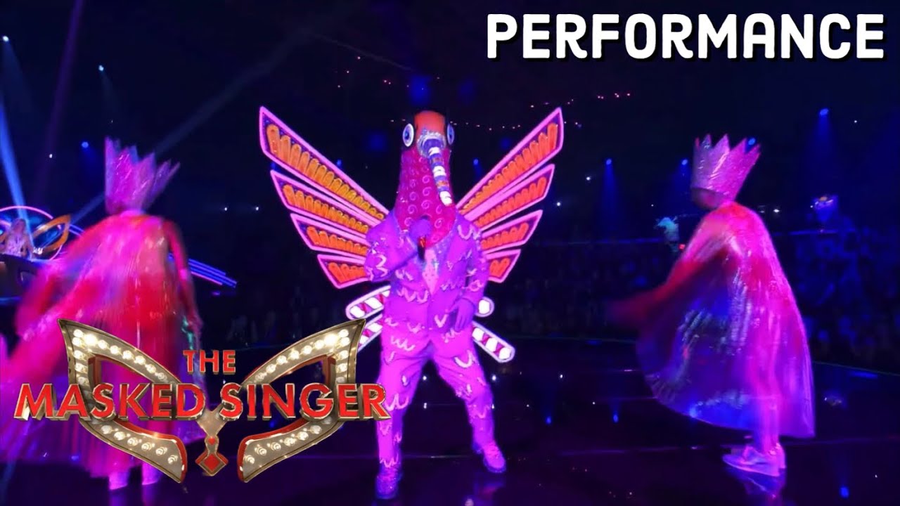 Hummingbird sings “I Don’t Want To Be” by Gavin DeGraw | THE MASKED ...