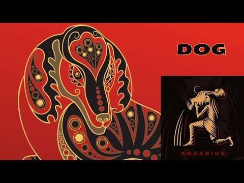 AQUARIUS - DOG - YouTube