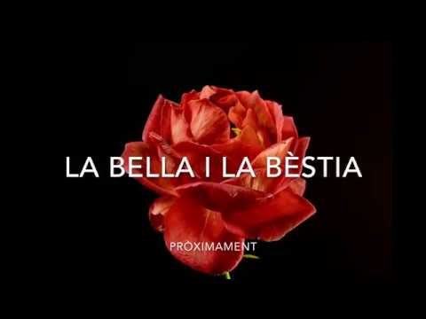 Escola FEDAC Ripollet. MUSICAL BEAUTY AND THE BEAST - YouTube