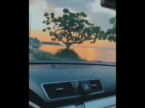 Araba snap  deniz kenarında