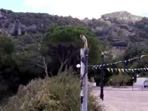 ΑΓ ΝΙΚΟΛΑΟΣ ΚΑΡΛΟΒΑΣΙ ΣΑΜΟΥ 2 - YouTube