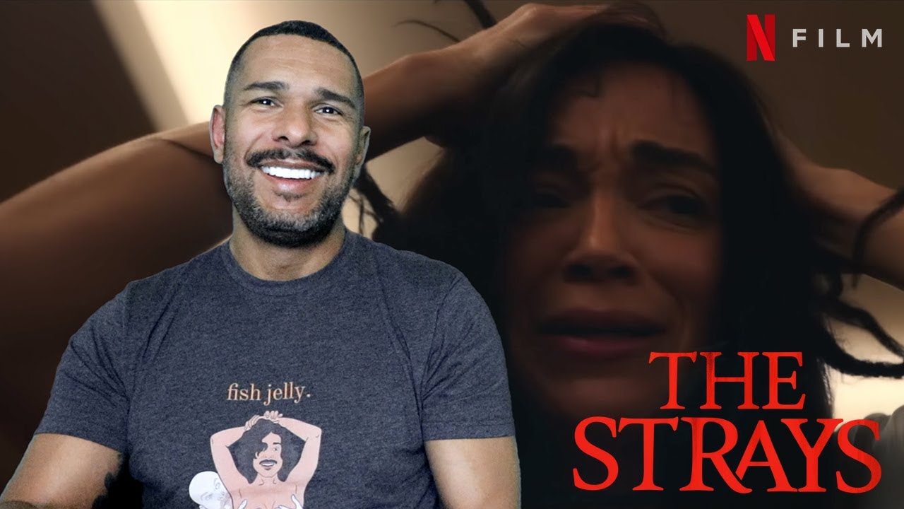 THE STRAYS Movie Review **SPOILER ALERT** - YouTube