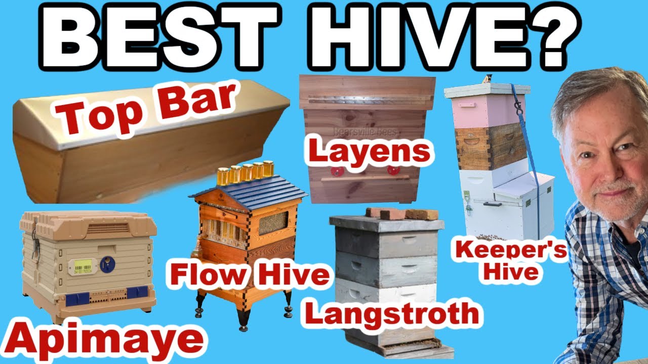 Beekeeping: What Are The Pros & Cons To Different Hives? - YouTube