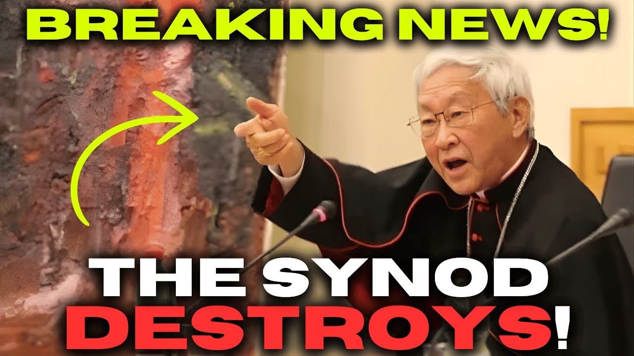 HEROIC CARDINAL issues A TERRIBLE WARNING about the FUTURE of the ...