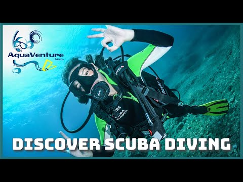 Discover Scuba Diving - YouTube