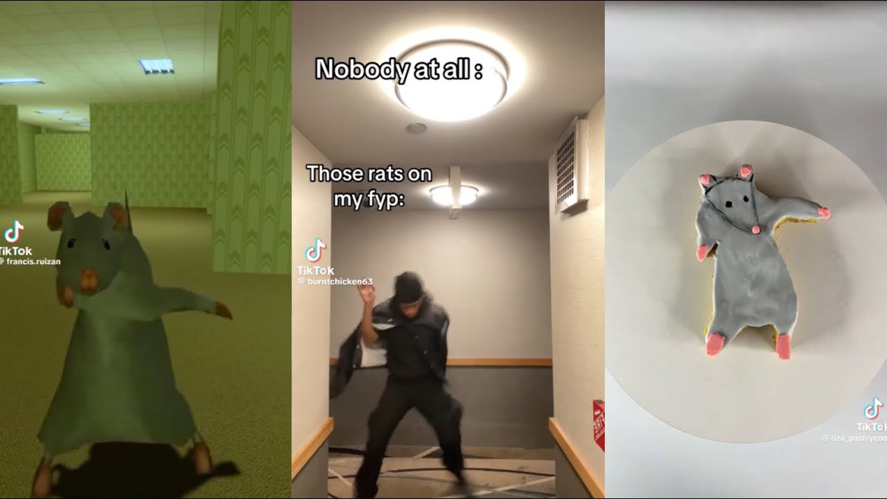 Rat Dancing TikTok Compilation - YouTube