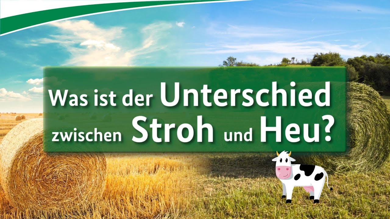 Was ist der Unterschied zwischen Stroh und Heu? - YouTube