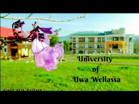 University of Uwa Wellassa | මීදුම් සරසවිය 👨‍🎓🎓🌏 - YouTube