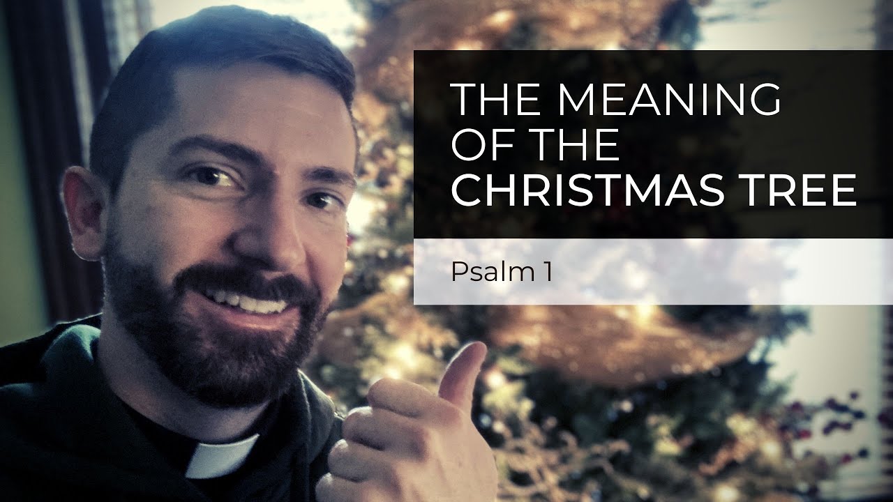 The Meaning of the Christmas Tree - YouTube