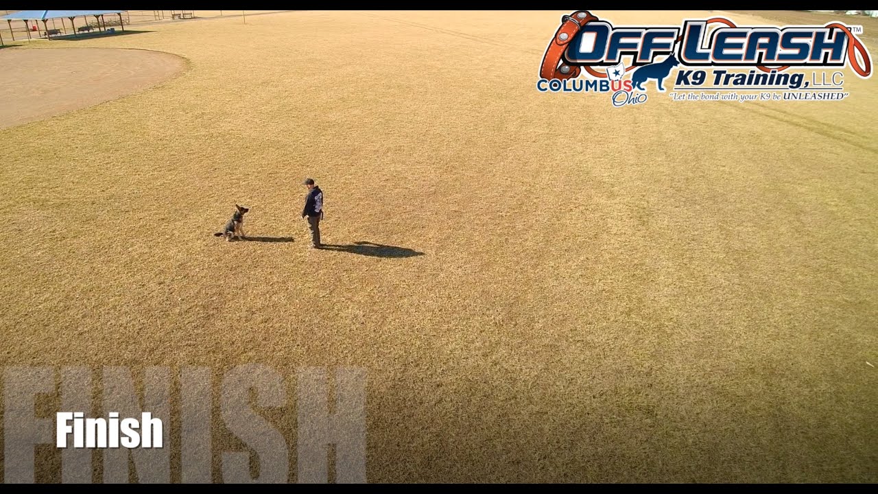 Working through a few Advanced commands with GSD, Onyx! - YouTube