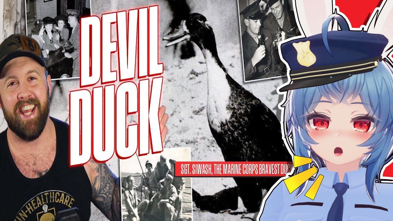 When Marines Took A Duck Into Battle In WW2 - The Devil Duckf | The Fat ...