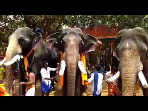 Pampady rajan & chirakkal kalidasan headlifting - YouTube