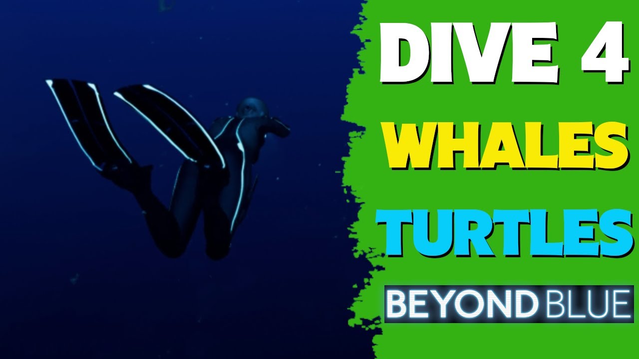 Beyond Blue Gameplay Walkthrough Part 3 | Dive 4, Whales, Turtles ...