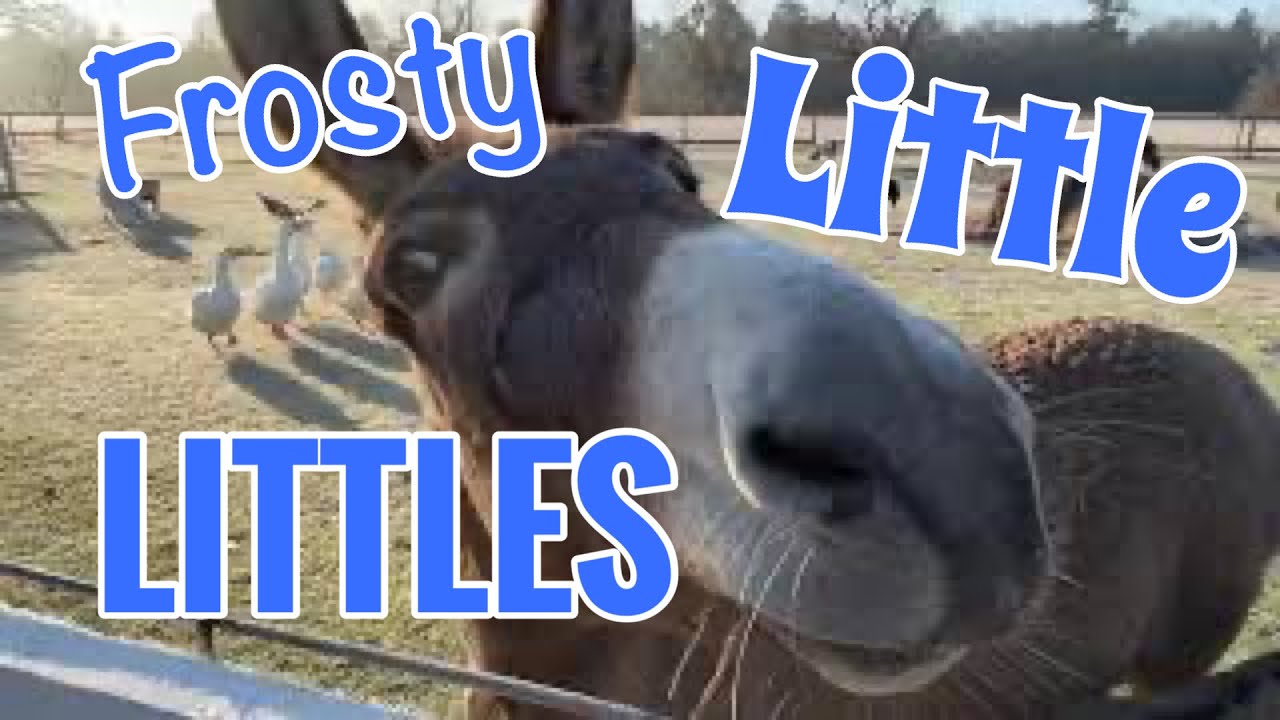 Frosty, Little, LITTLES - YouTube