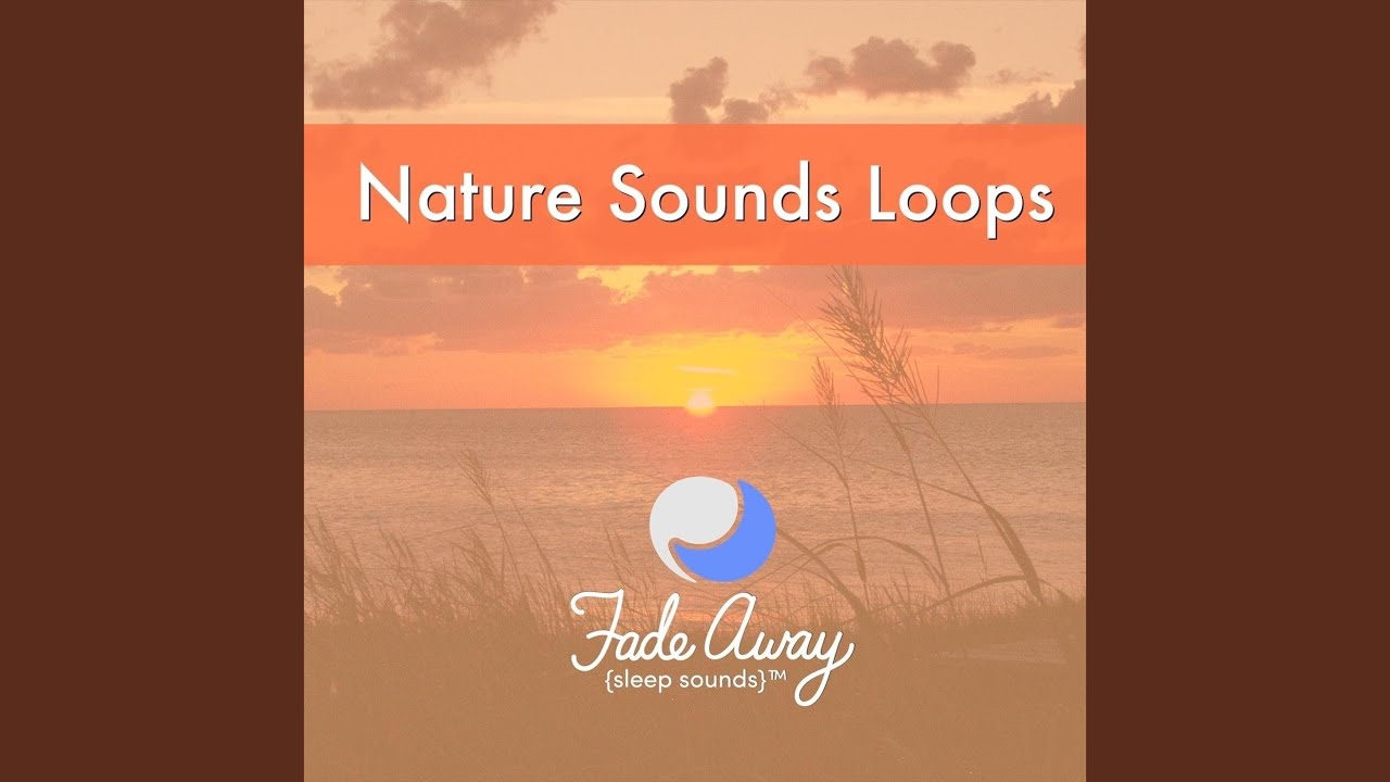 Rolling Thunder and Rain Loops - YouTube Music