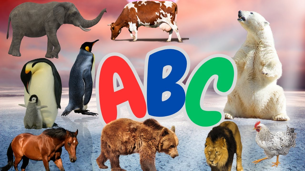 Phonics Animals Song ABC Alphabet Animals Wild Animals Pet Animals Farm ...