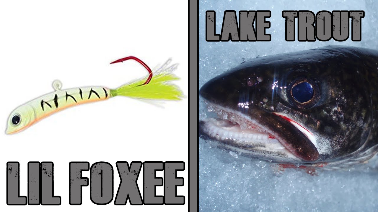 Lil Foxee Lake Trout and Whitefish Drop Shot | Lil Foxee Jigging Minnow ...