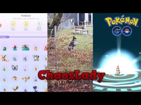 Waumpel Entwickeln Pokemon Go