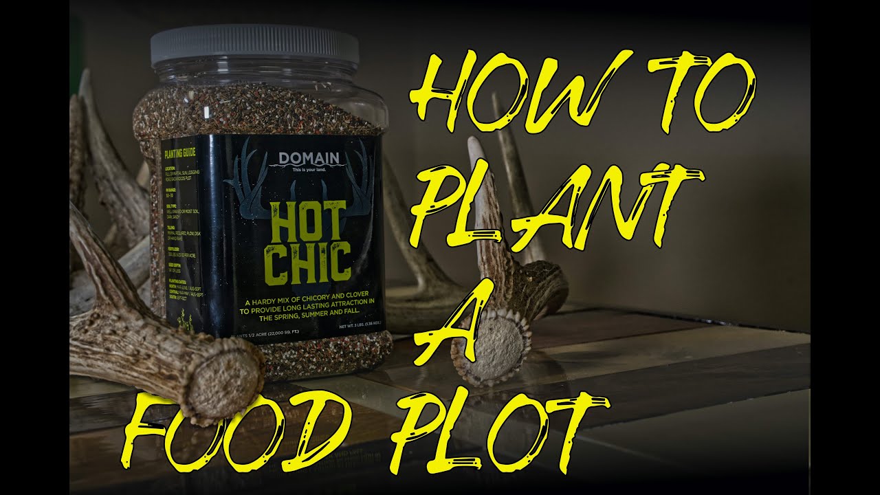 How To Plant a Food Plot - Domain Outdoor - YouTube