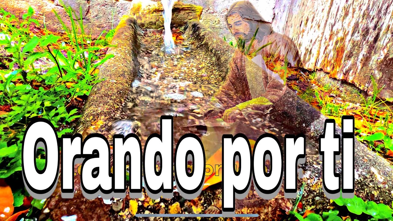 Orando por ti- la poderosa oración - Déjame orar por ti - YouTube