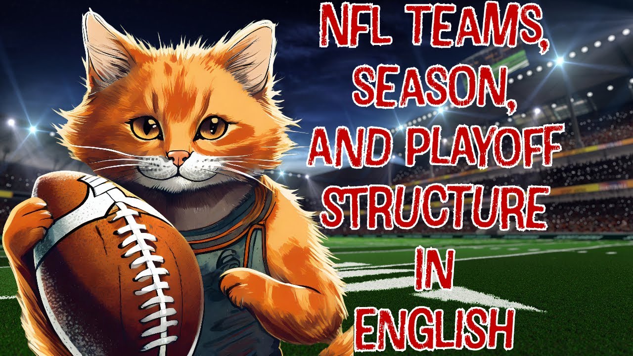NFL Teams, Season and Playoff Structure Explained - YouTube