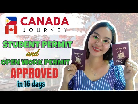 Student Permit and Open Work Permit APPROVED in 16 days 😱🍁 | DIY ...