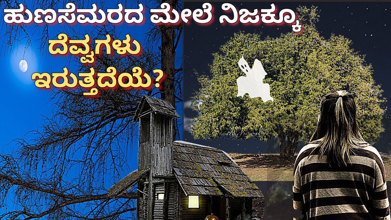 Ghost on tamarind tree|ಹುಣಸೆ ಮರದ ದೆವ್ವ|scientific reason explained in ...