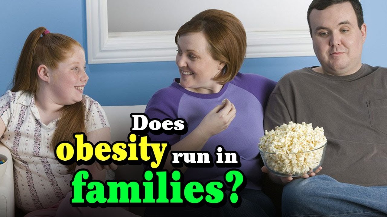 Know All About Genetic Obesity | Obesity Runs In Families | Genetic ...