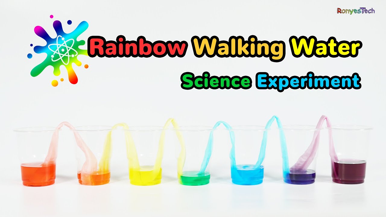 Rainbow Walking Water Science Activity YouTube rainbow-walking-water-science-activity-youtube