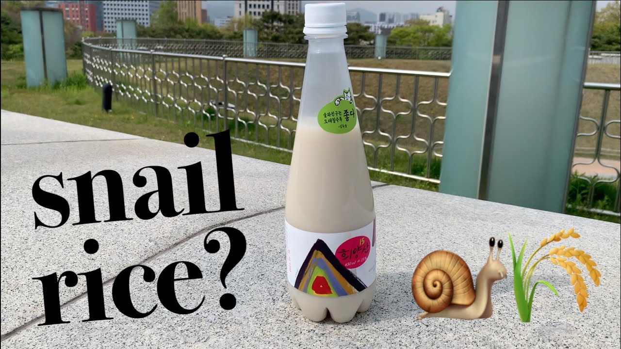 Snail rice? 🐌 Huiyangsan 15 희양산15 takju 탁주 makgeolli 막걸리 organic snail ...