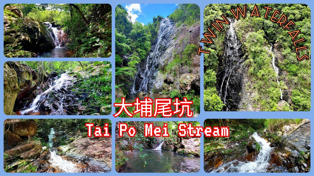 大埔尾坑 Tai Po Mei Stream - YouTube