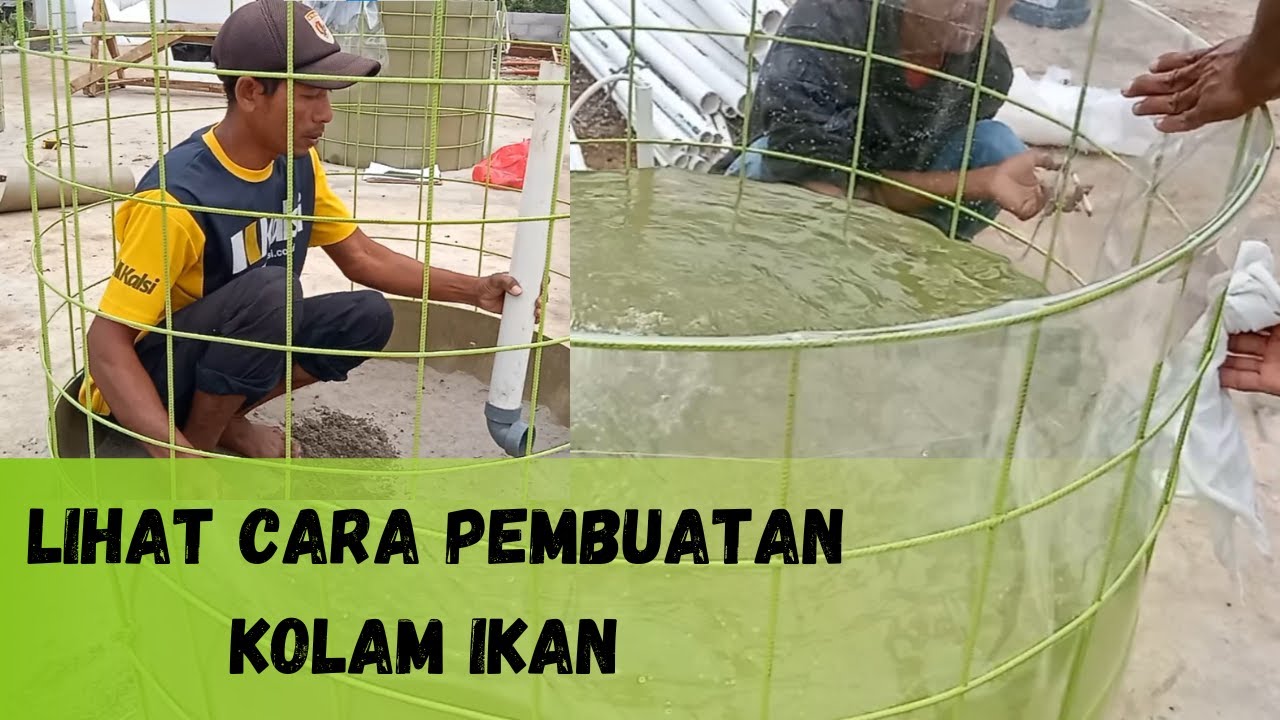 Pembuatan Kolam Ikan Di Mas Miracle Farm, Begini Caranya Agar Tidak Terjadi Kebocoran... - YouTube