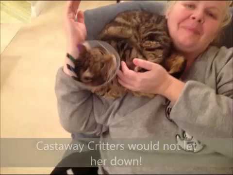 2015 Castaway Critters Rescue Video - YouTube
