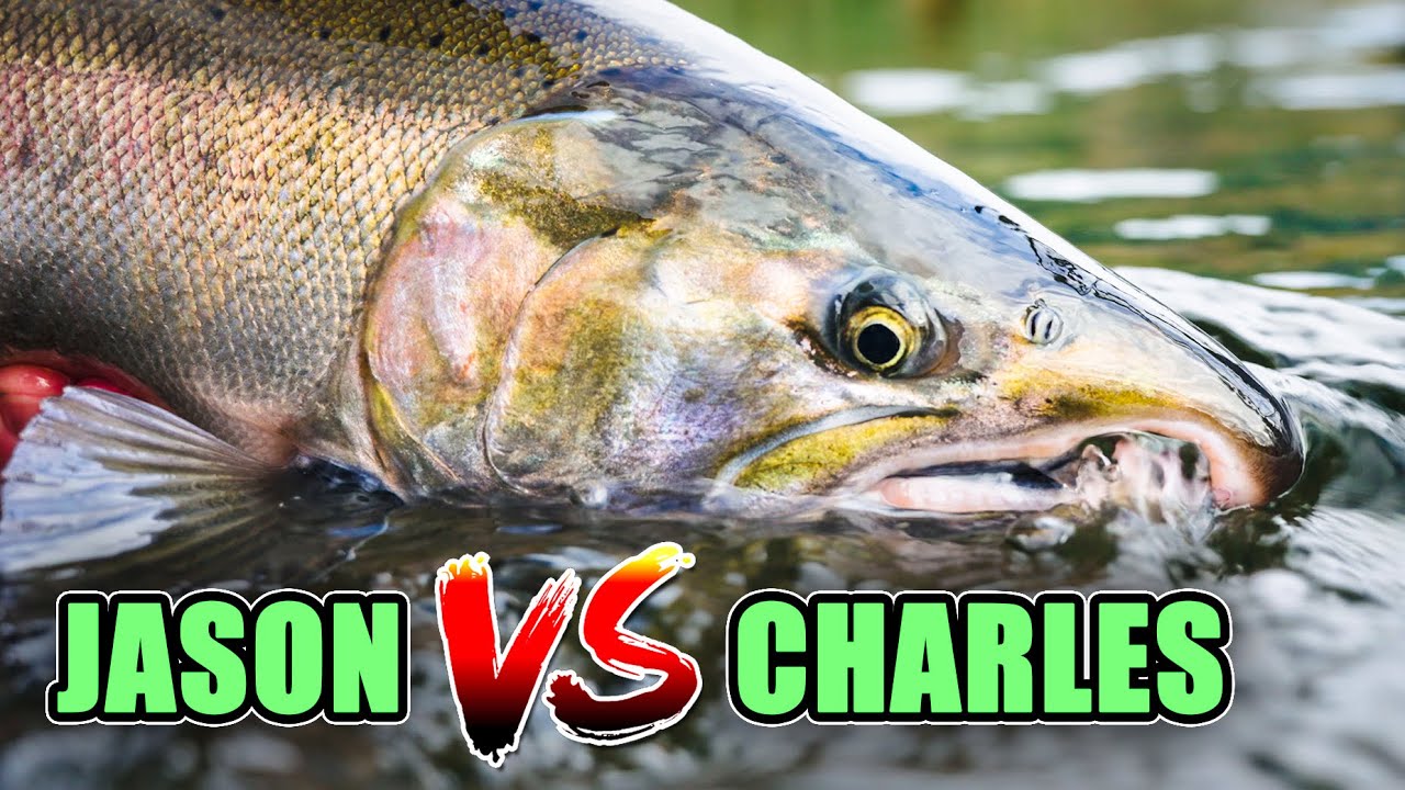 Tributary Coho Fishing Challenge - Twitching, Spinner Fishing, Bead ...
