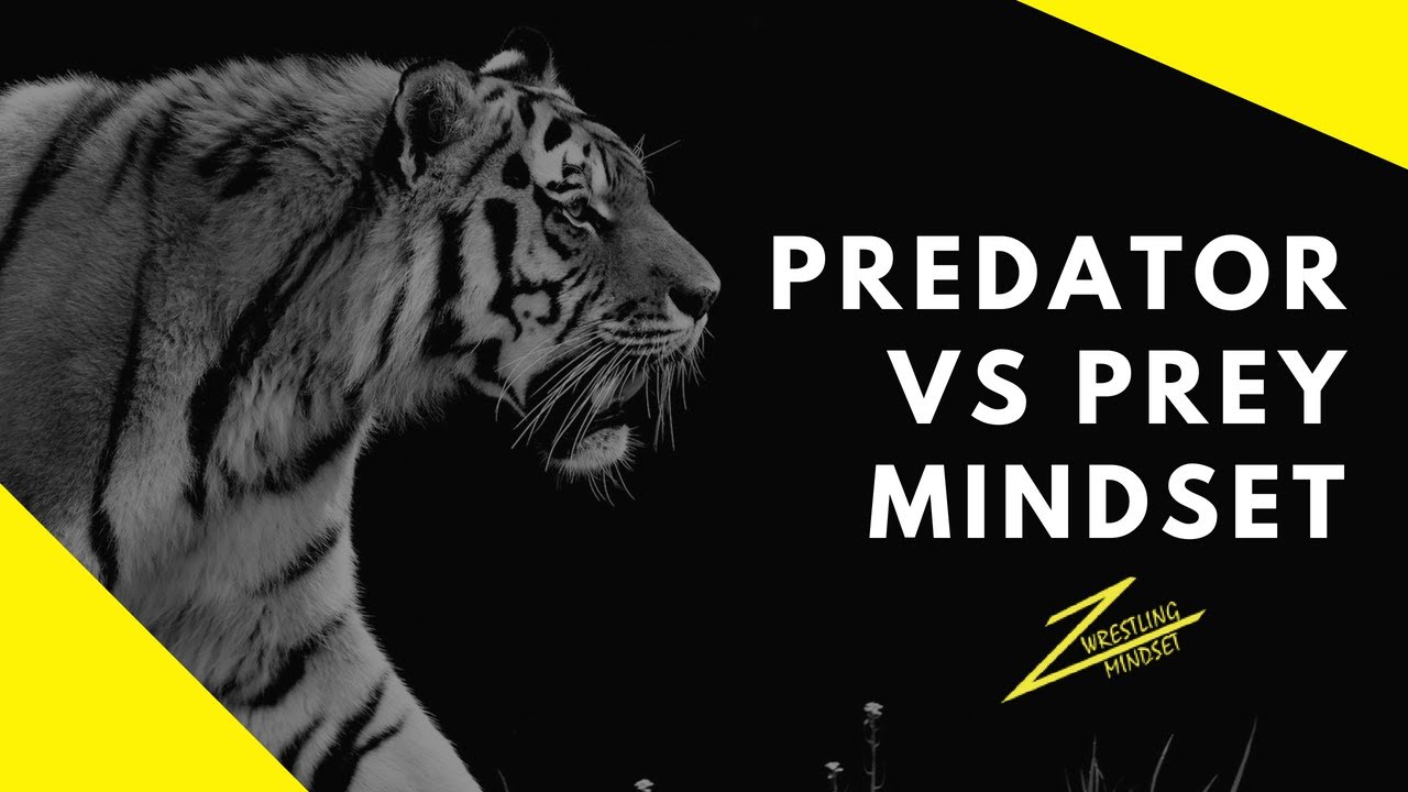 Predator vs. Prey Mindset: Winning Mindset in Sports, School and Life ...