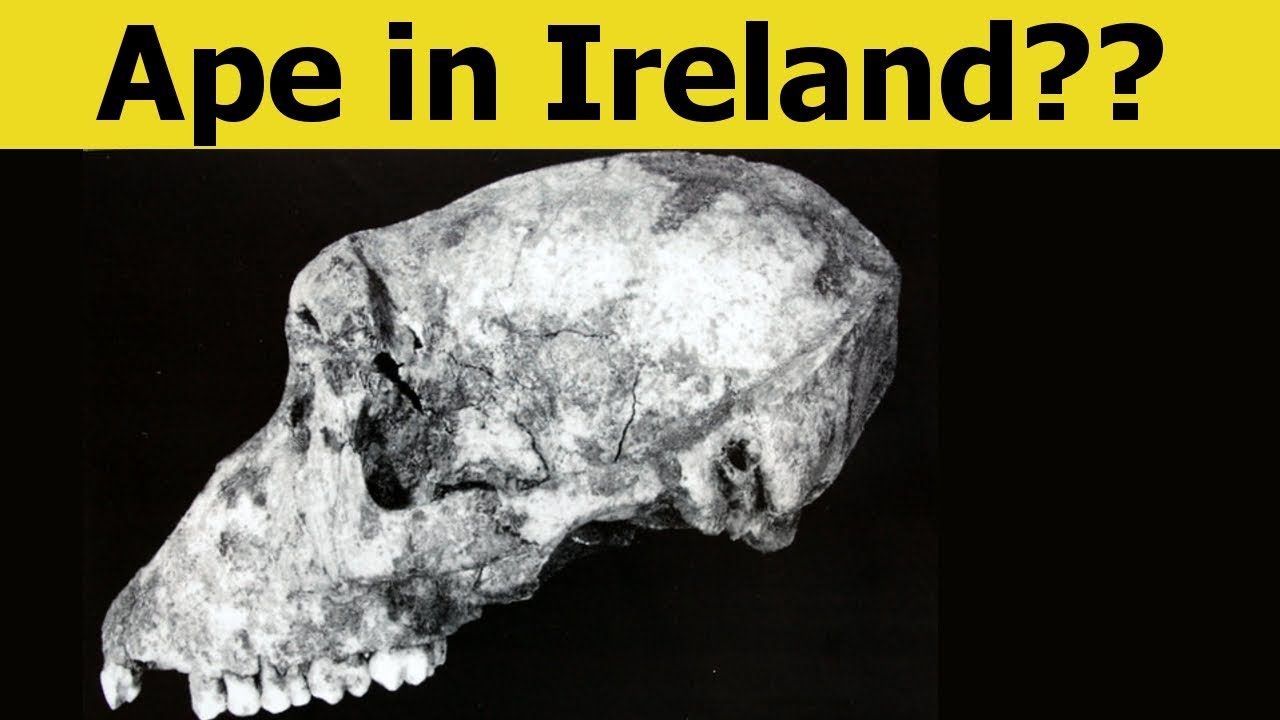 9 CRAZY Discoveries That Might Change History! - YouTube