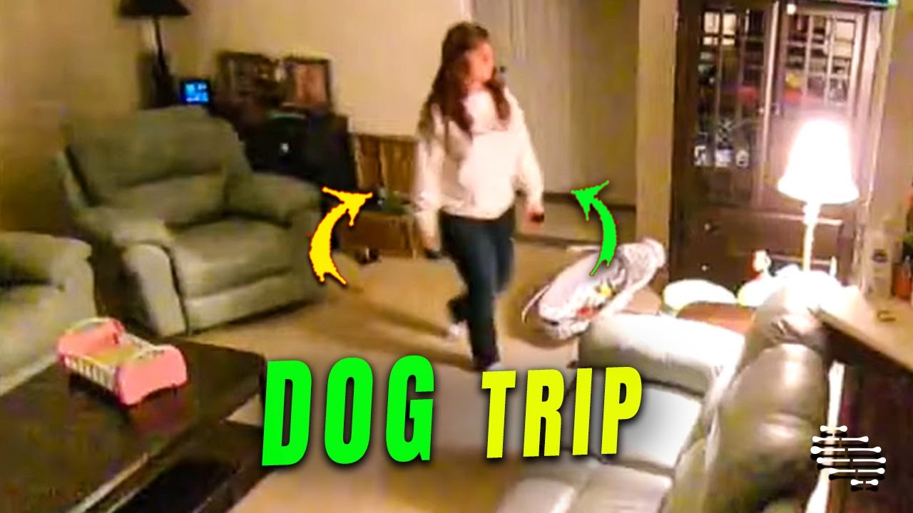 Lady Unintentionally Tripped over Her Dog and Fell - YouTube