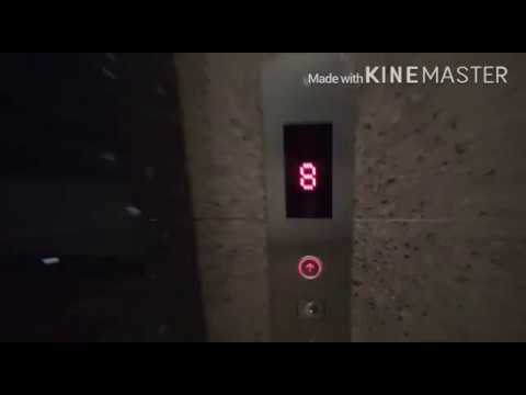 (From ZJ EleVids Productions)Shenyang Brilliant Elevator at Aroma Hotel ...