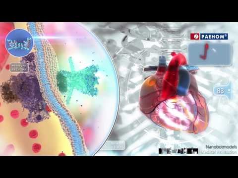 Механизм действия препарата \