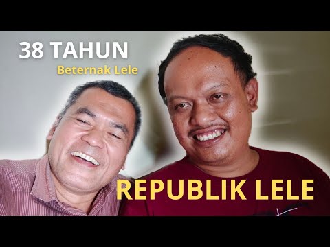 Budidaya Ikan Lele di kolam beton. Kisah inspiratif petani ikan lele di ...
