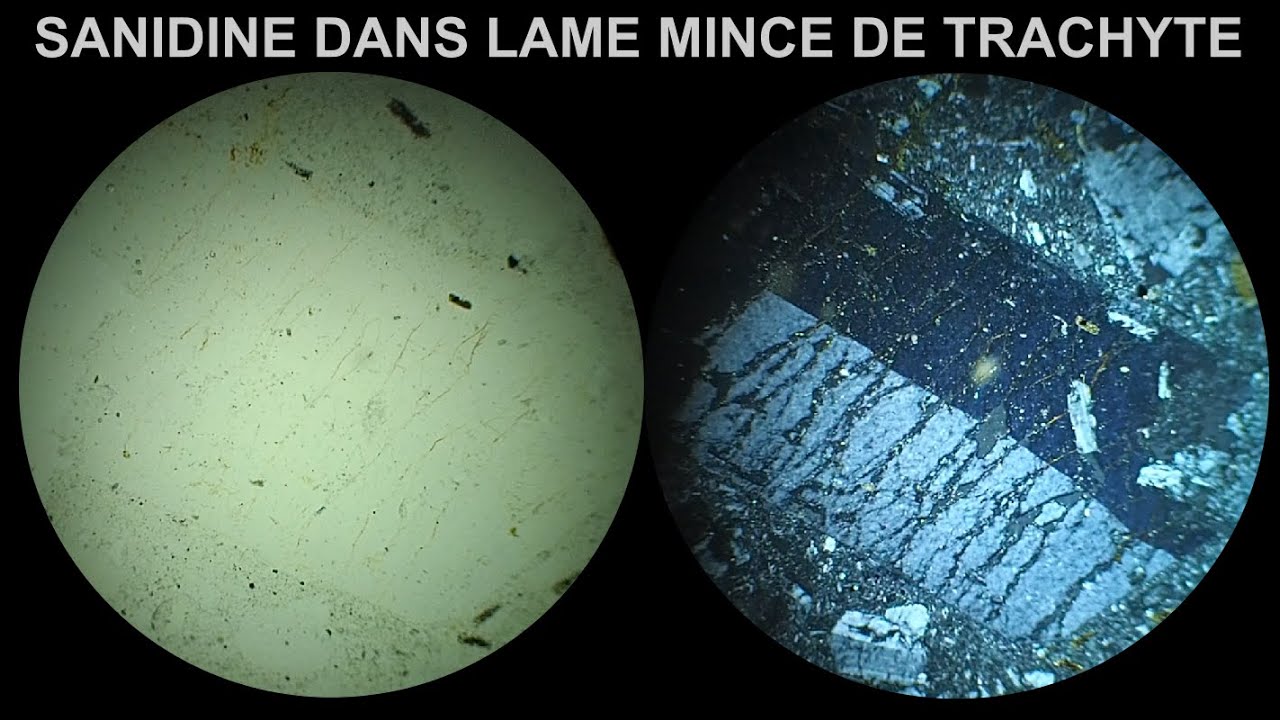 Sanidine KAlSi3O8 dans trachyte Immersion 360° LPnA vs LPA x 40 - YouTube