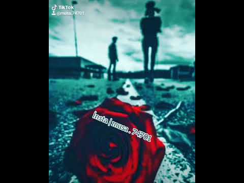 BİR  GUL whatsapp ucun status