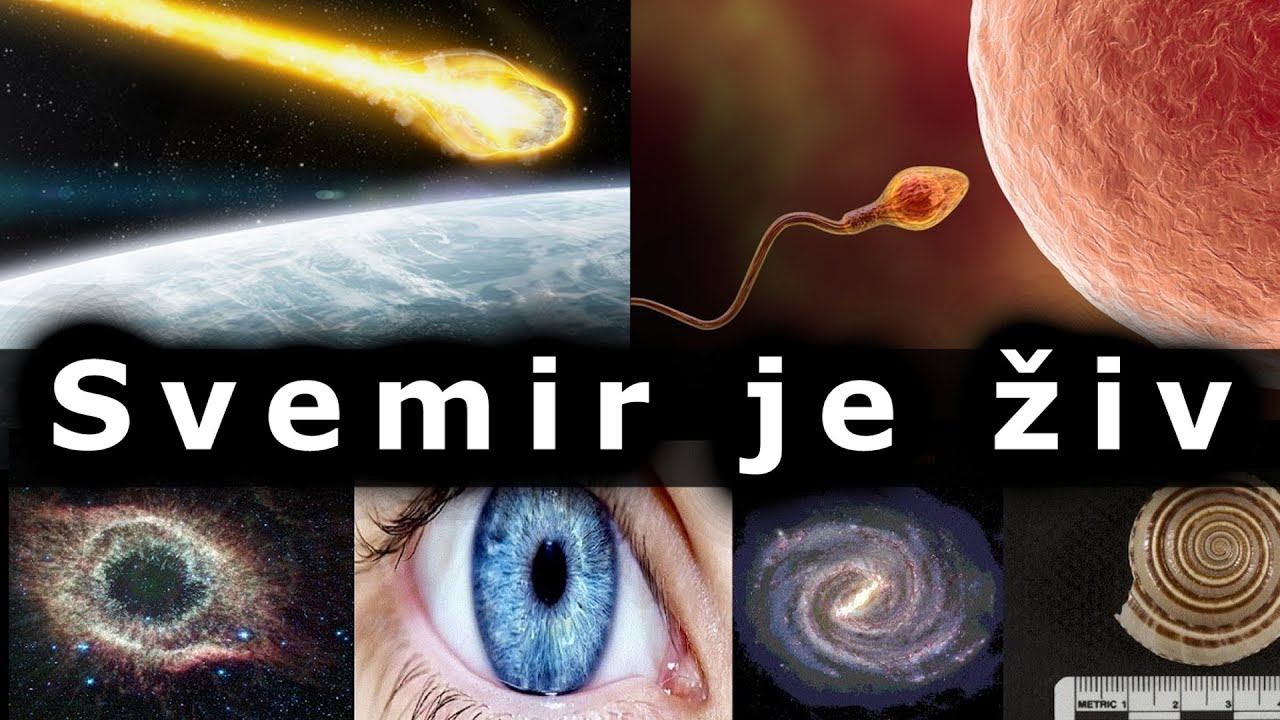 Da li je Svemir ŽIVI ORGANIZAM ? - YouTube