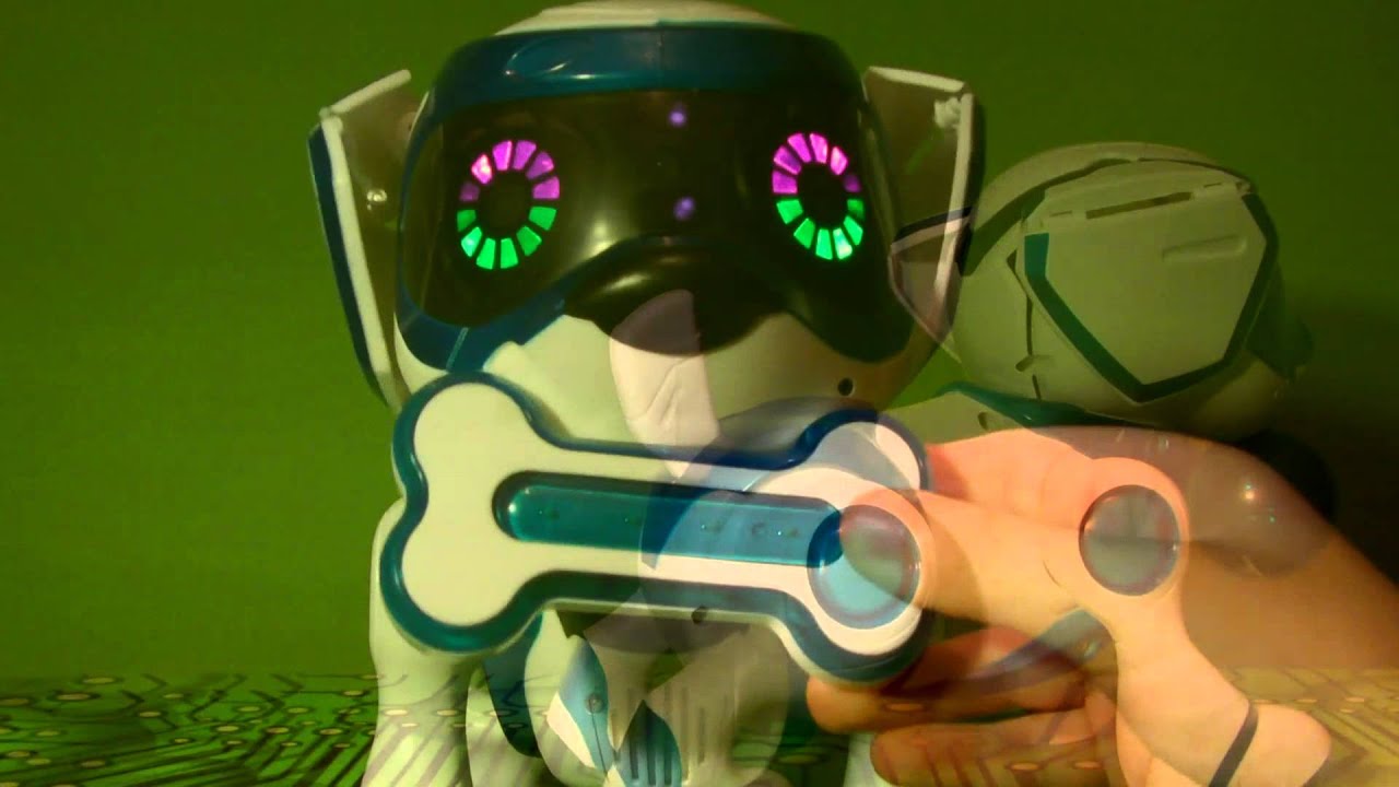 TEKSTA the Robotic Puppy from Character review by James Childs. - YouTube