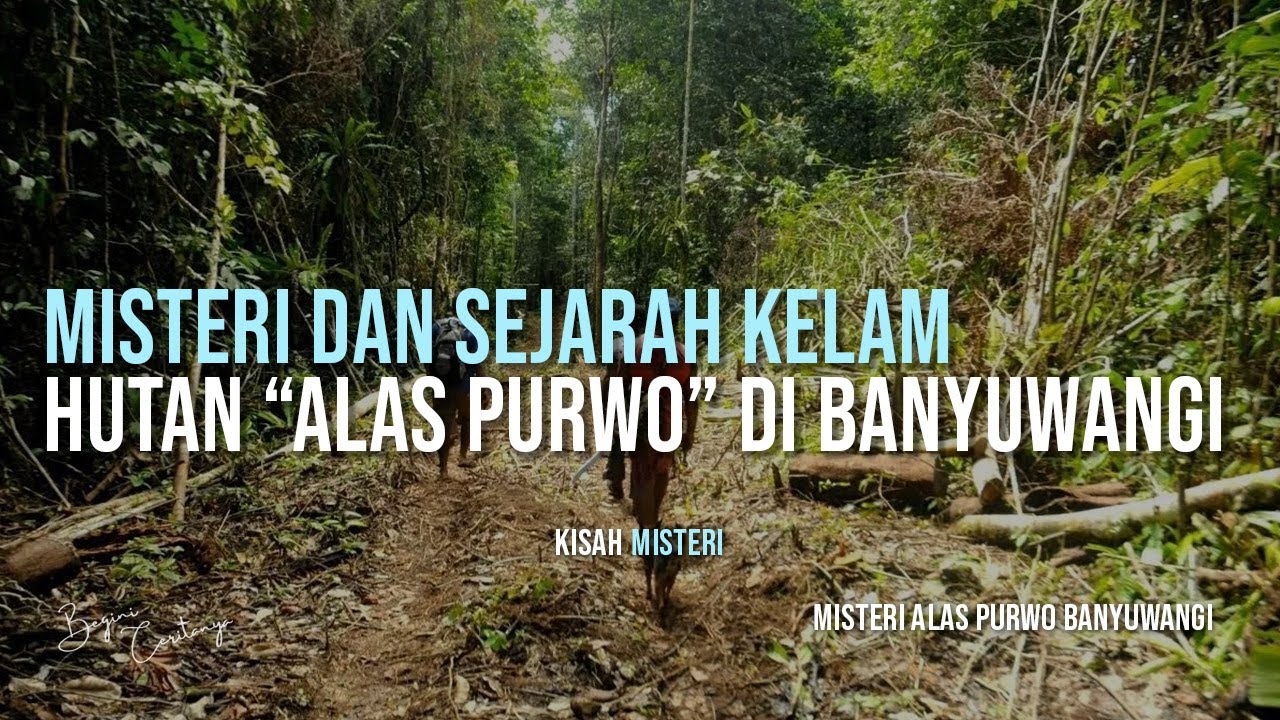 MISTERI ALAS PURWO BANYUWANGI - Hutan paling angker di pulau Jawa - YouTube