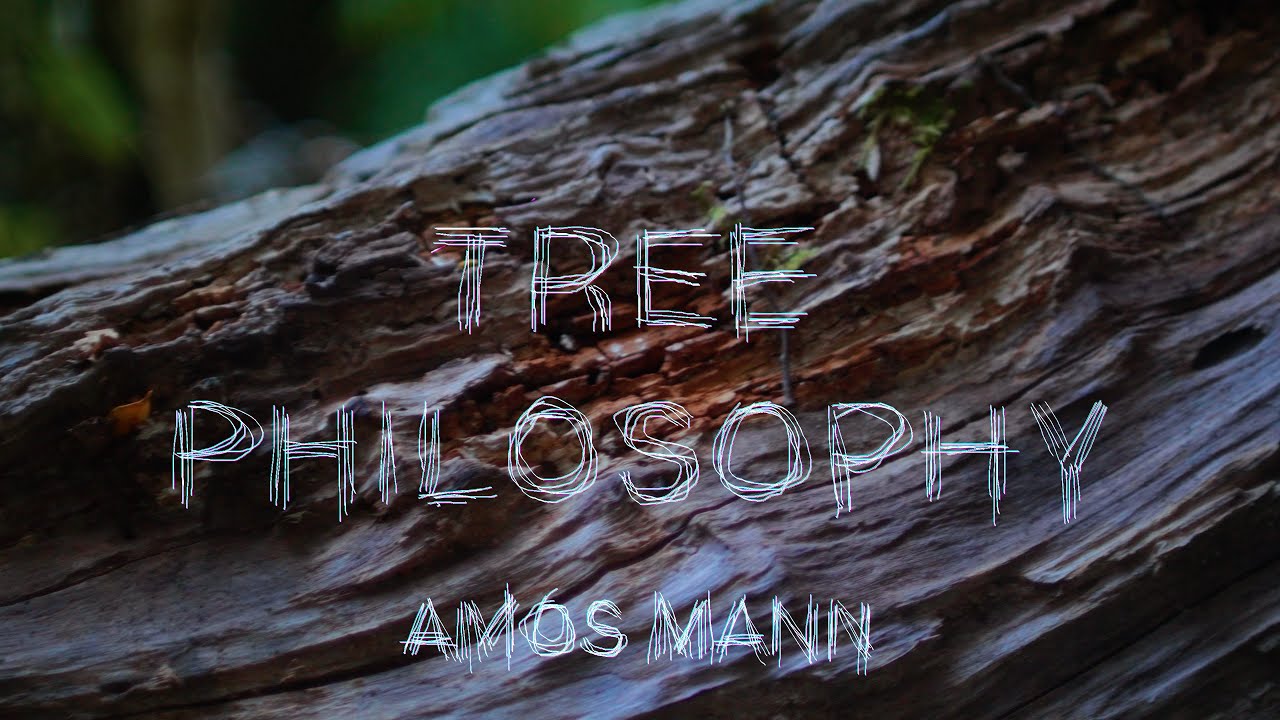 Amos Mann — Tree philosophy (Official music video) - YouTube